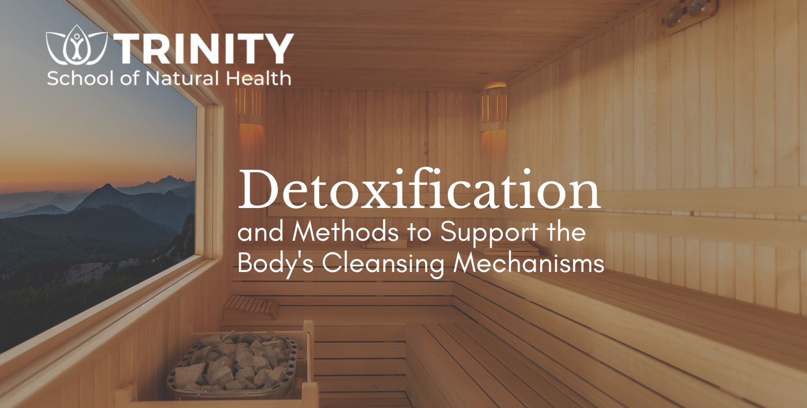 Detoxification Support | Trinity School of Natural Health