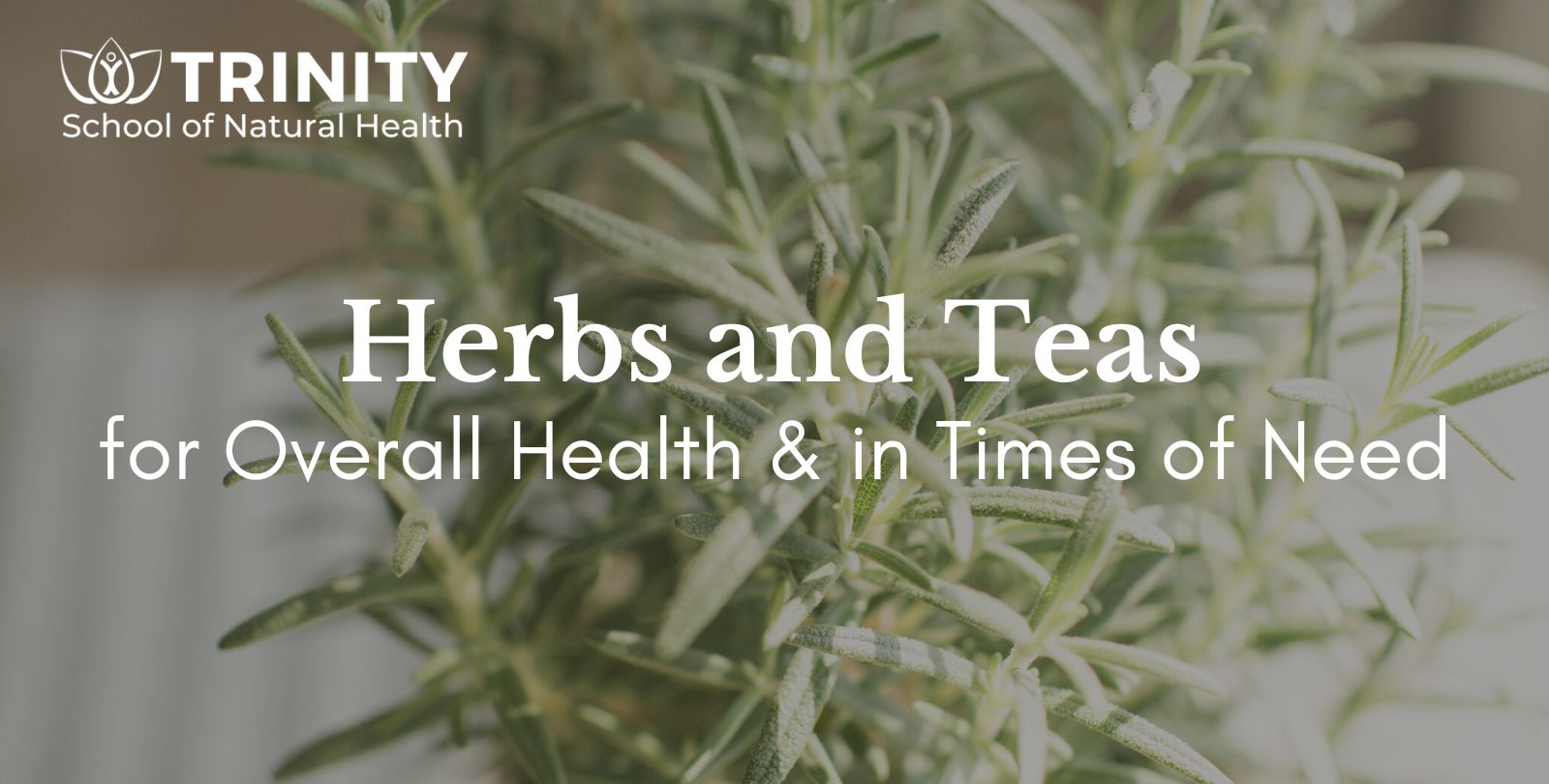 Herbs and Teas | Trinity School of Natural Health