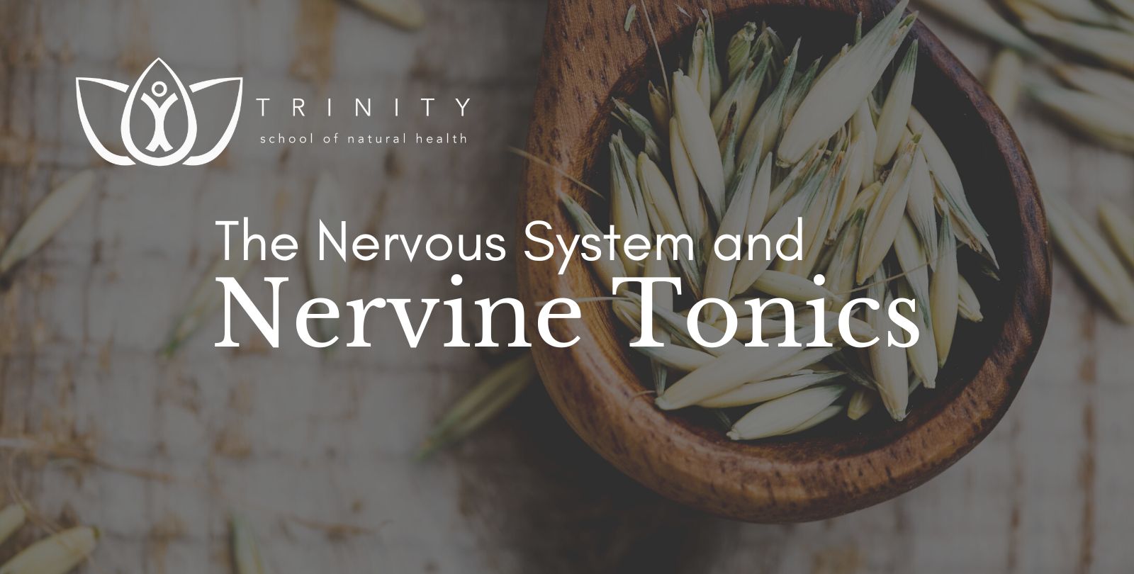 Nervine Tonics | Trinity School of Natural Health