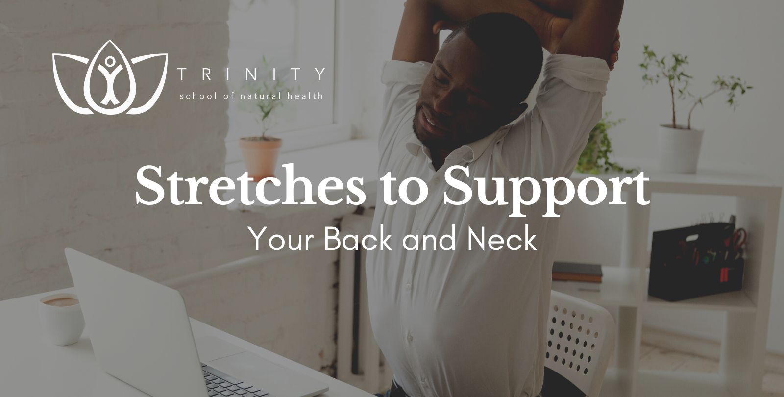 Stretches to Support Your Back & Neck | Trinity School of Natural Health